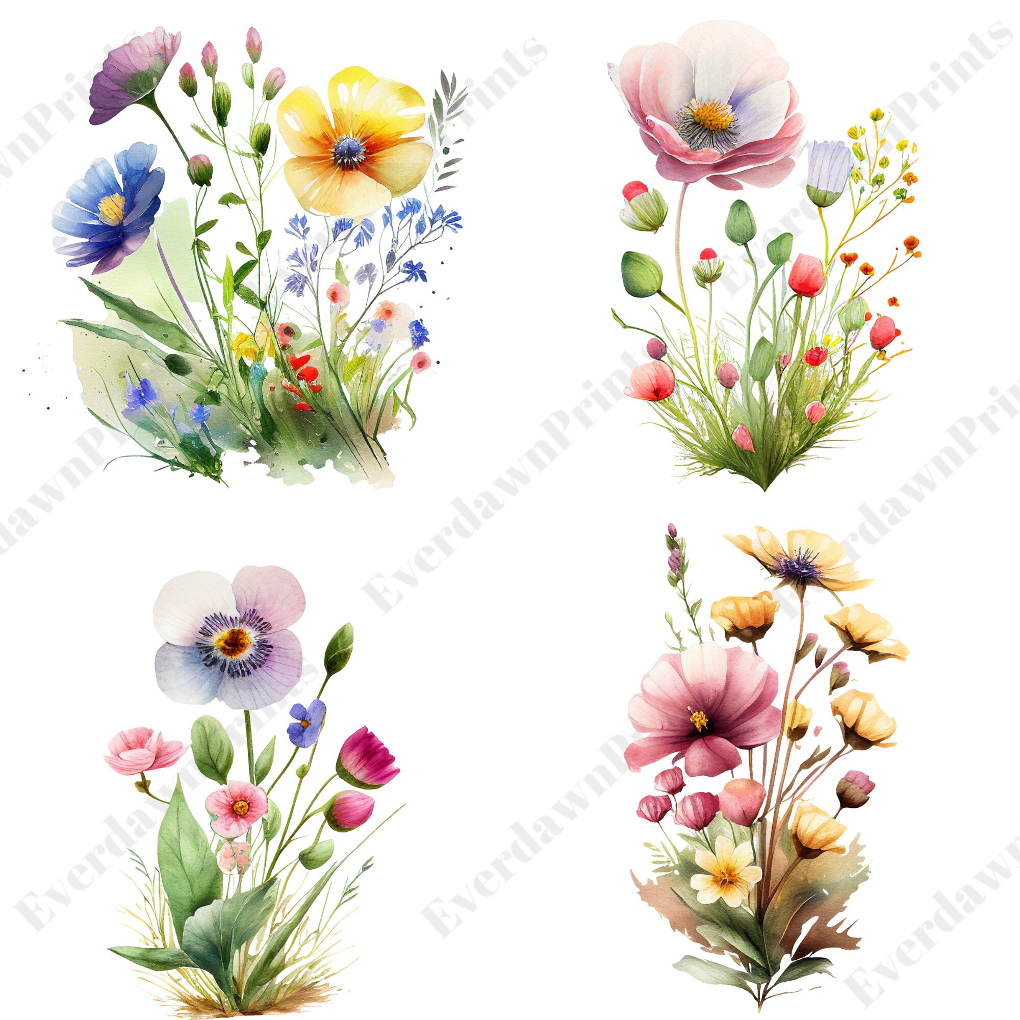 18 Watercolor Meadow Flowers Clipart High Quality PNG Card - Etsy