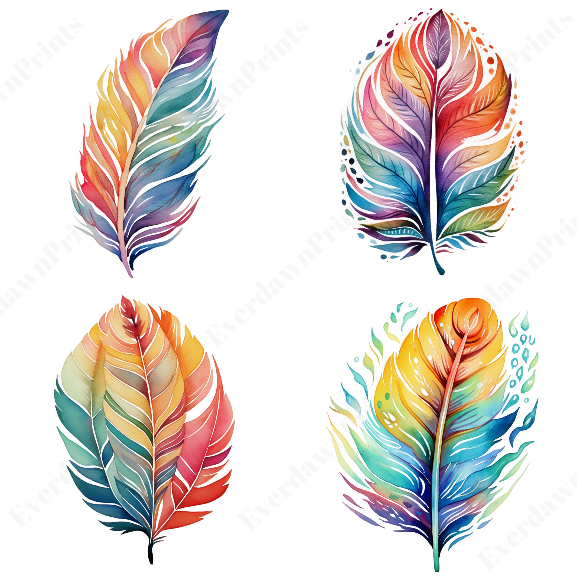 26 Feather Clipart, High Quality Transparent PNG, Watercolor, Card ...
