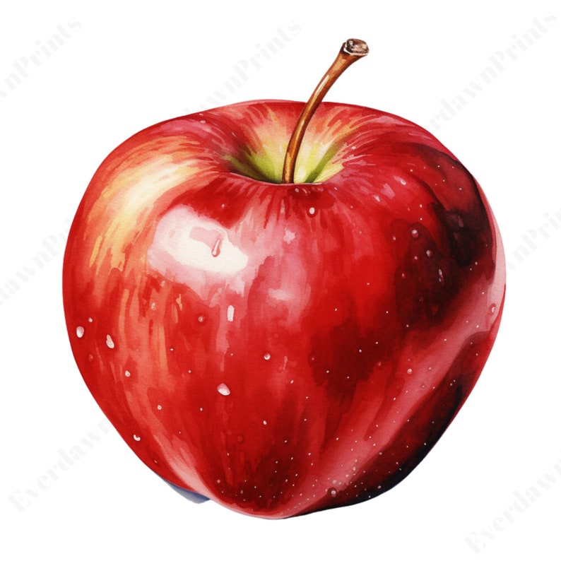Watercolor Apple Clipart, 24 High Quality Transparent PNG, Apple PNG ...