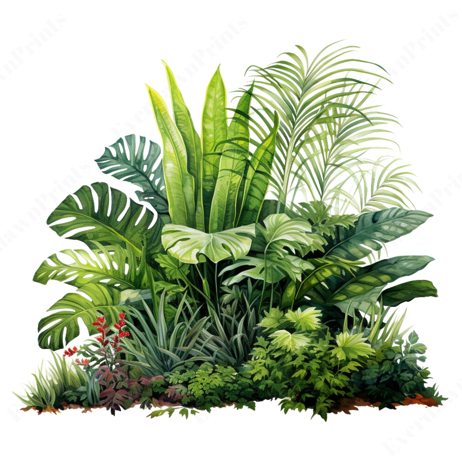 24 Watercolor Tropical Greenery Clipart – Lush Jungle Leaves, Monstera ...