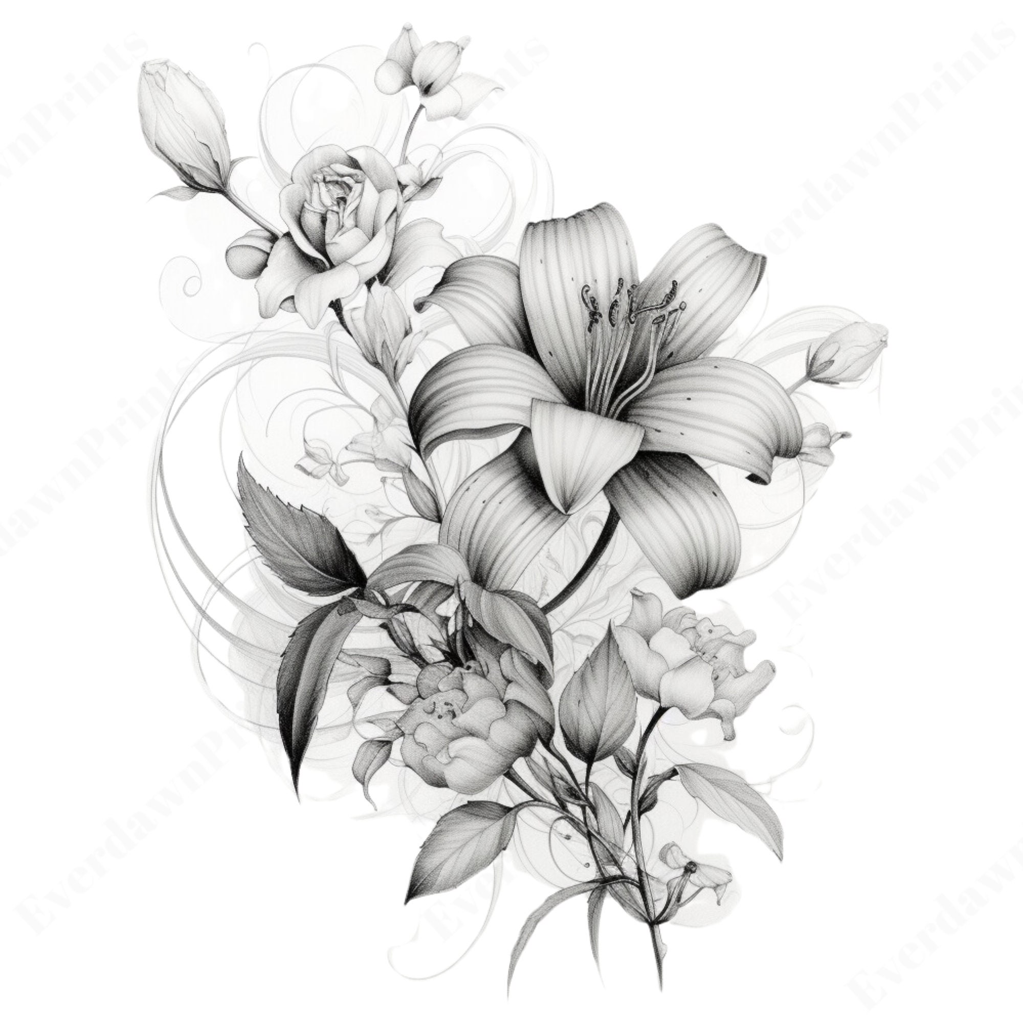 22 Flower Pencil Drawing, High Quality Transparent PNG, Roses, Floral ...