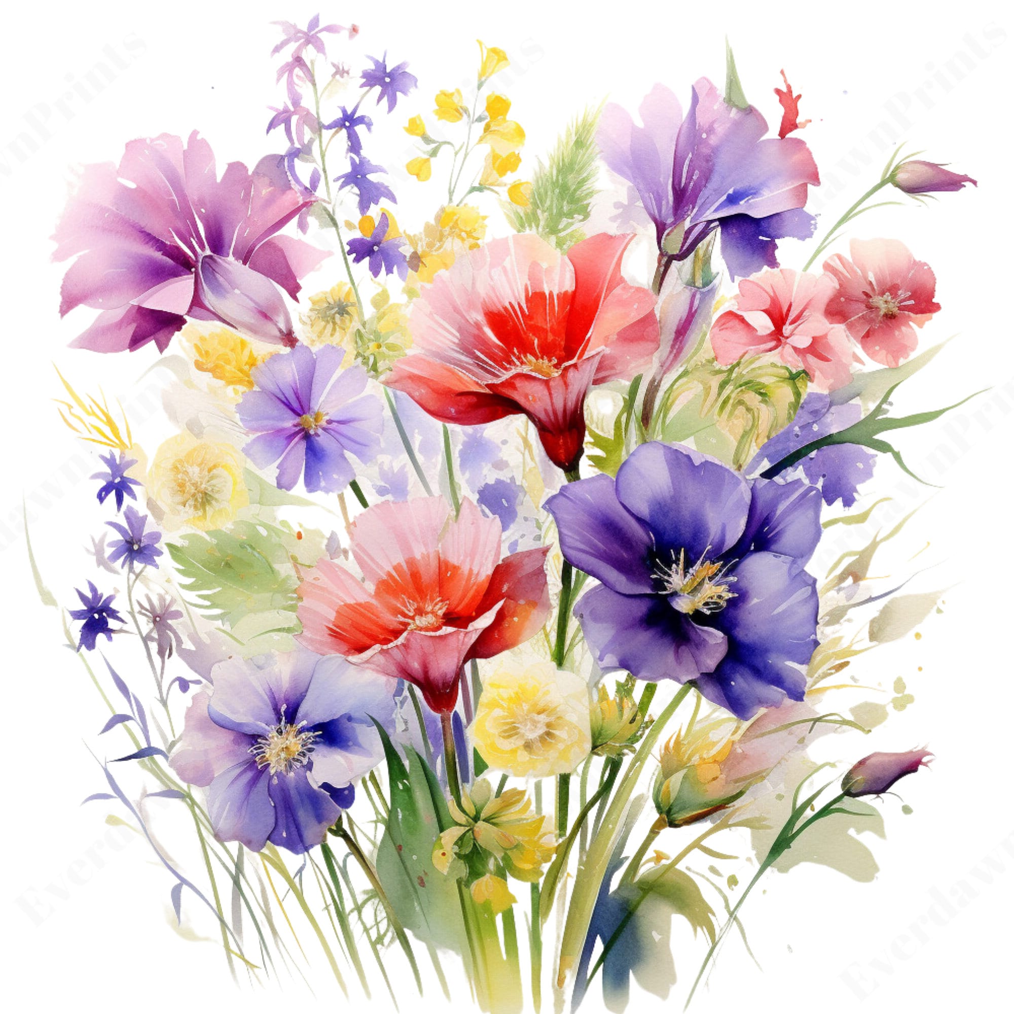 15 Watercolor Colorful Flowers Clipart, Watercolor, High Quality ...