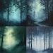 24 Misty Forest Watercolor Clipart, Watercolor Backgrounds, Forest ...