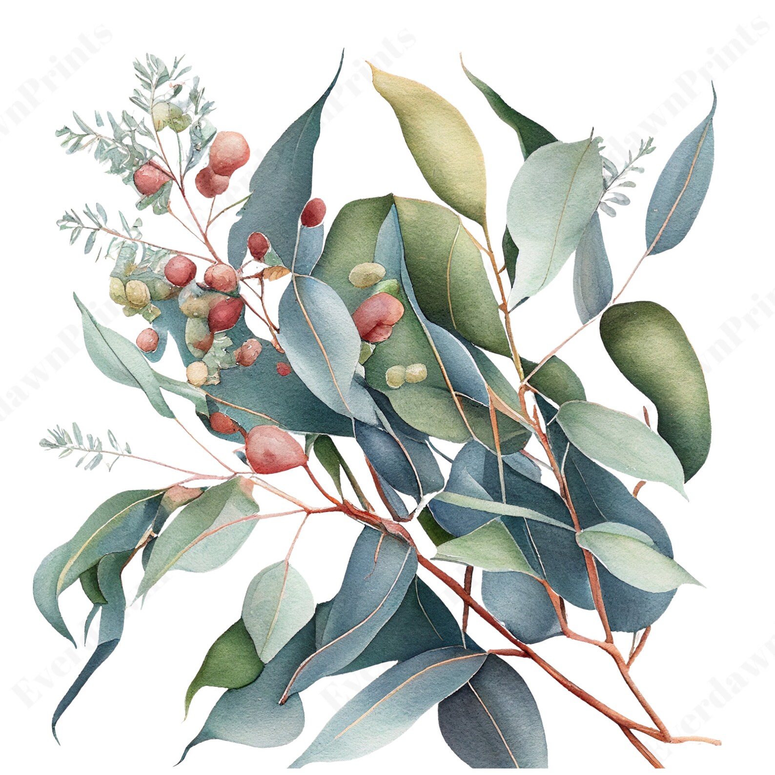 30 Watercolor Greenery Eucalyptus Clipart, Eucalyptus Bouquet, Greenery ...