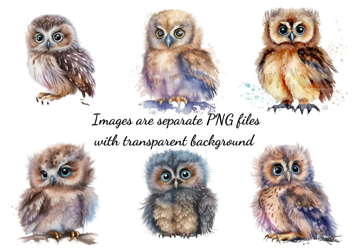 14 Baby Owl Clipart High Quality Transparent PNG Watercolor - Etsy