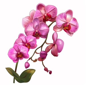 28 Pink Orchid Flower Clipart, Transparent, DIY Craft Supplies, Orchid ...