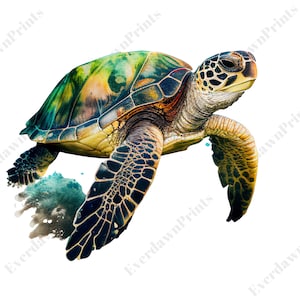 15 Sea Turtle, High Quality Transparent PNG, Sea Animals PNG, Ocean ...