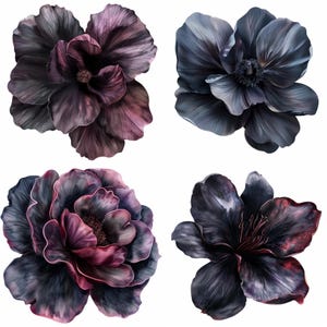24 Black Flower Transparent Clipart – Elegant Floral PNG Digital ...