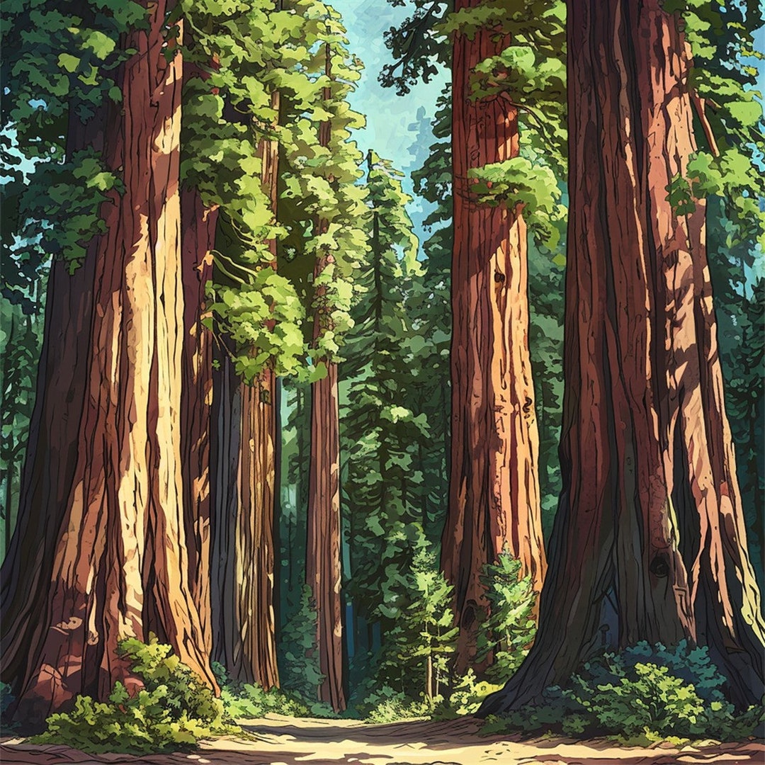 Watercolor Ancient Redwood Tree Clipart, Tree Clipart Set, Digital ...
