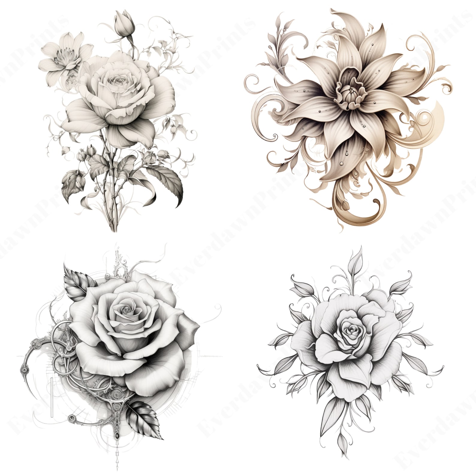 22 Flower Pencil Drawing, High Quality Transparent PNG, Roses, Floral ...