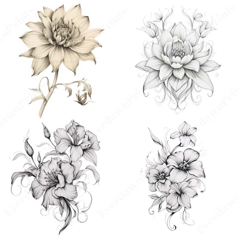 22 Flower Pencil Drawing, High Quality Transparent PNG, Roses, Floral ...