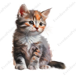 15 Kitten Clipart, High Quality Transparent PNG, Small Cat PNG, Cat PNG ...