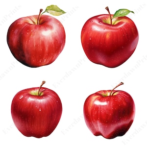 Watercolor Apple Clipart, 24 High Quality Transparent PNG, Apple PNG ...