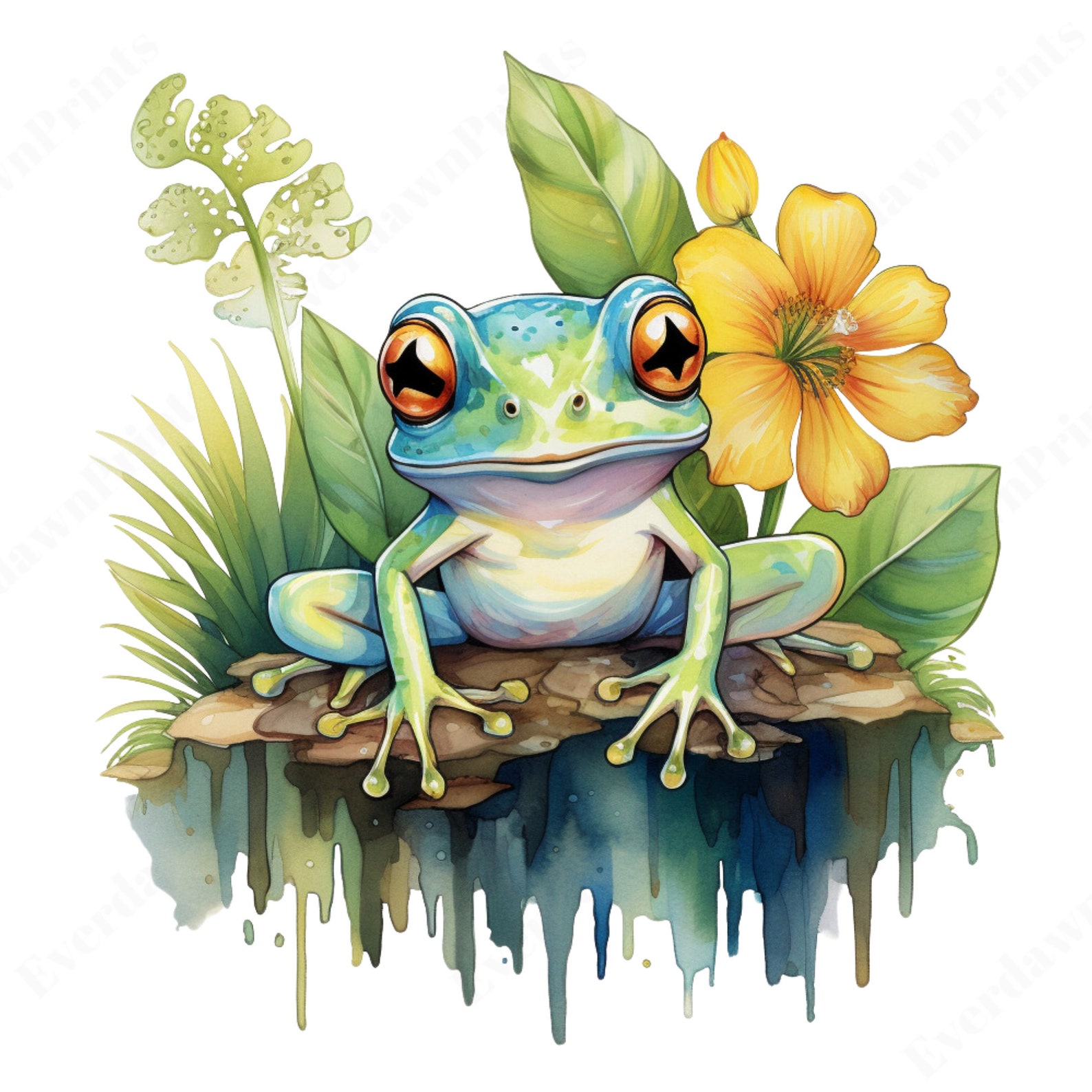 20 Rainforest Frog Clipart, High Quality Transparent PNG, Watercolor ...