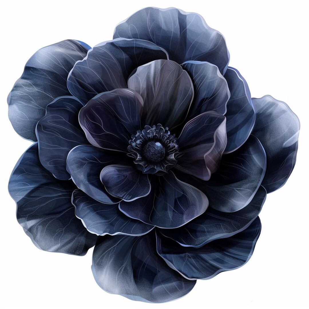 24 Black Flower Transparent Clipart – Elegant Floral PNG Digital ...