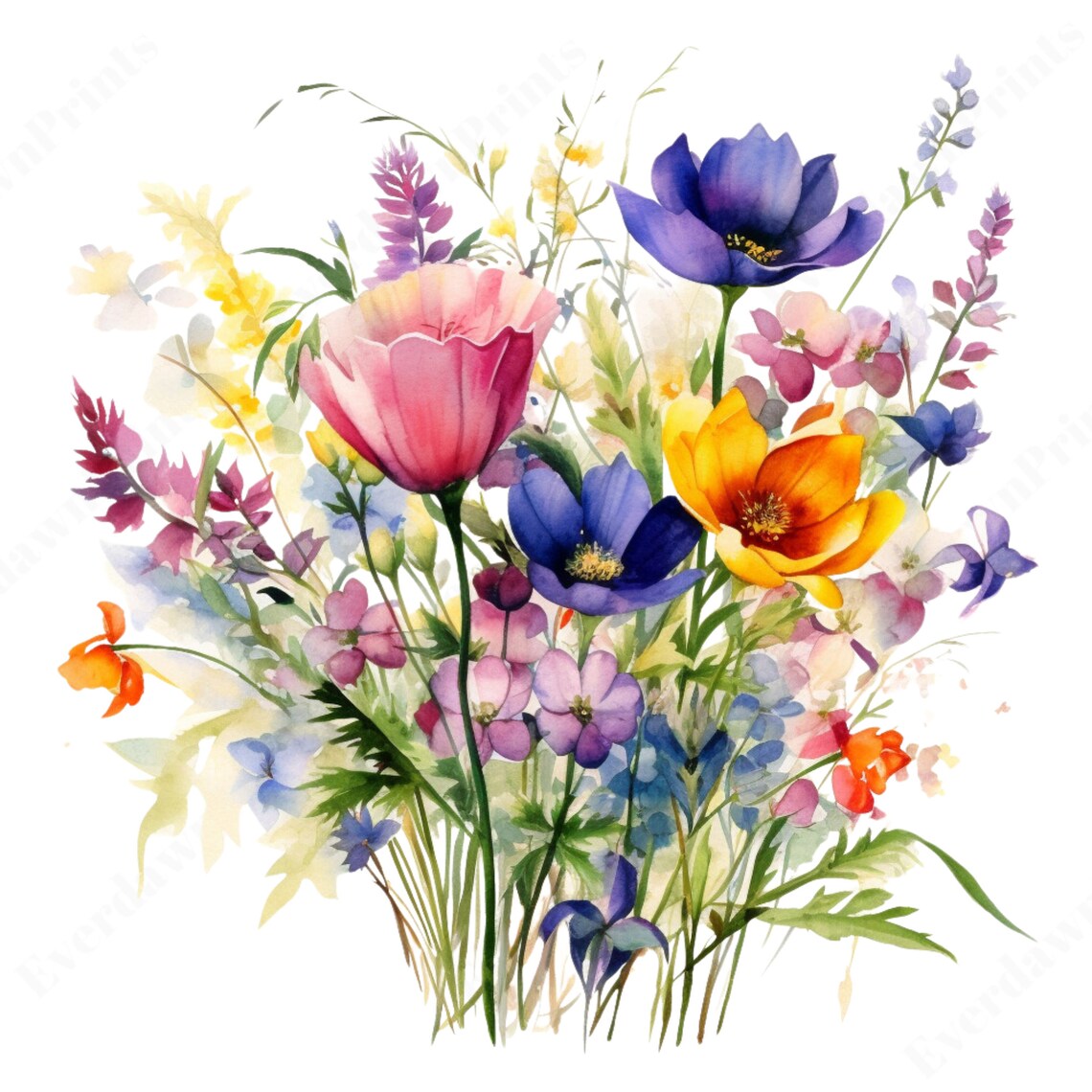 15 Watercolor Colorful Flowers Clipart, Watercolor, High Quality ...