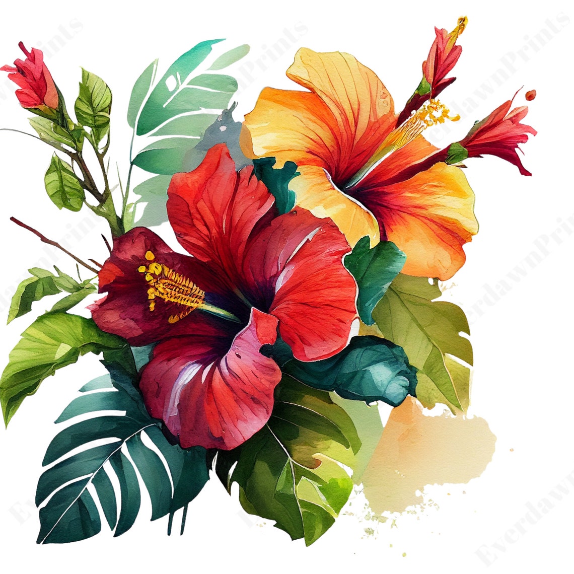 16 Watercolor Hibiscus Flowers Clipart, High Quality Transparent PNG ...