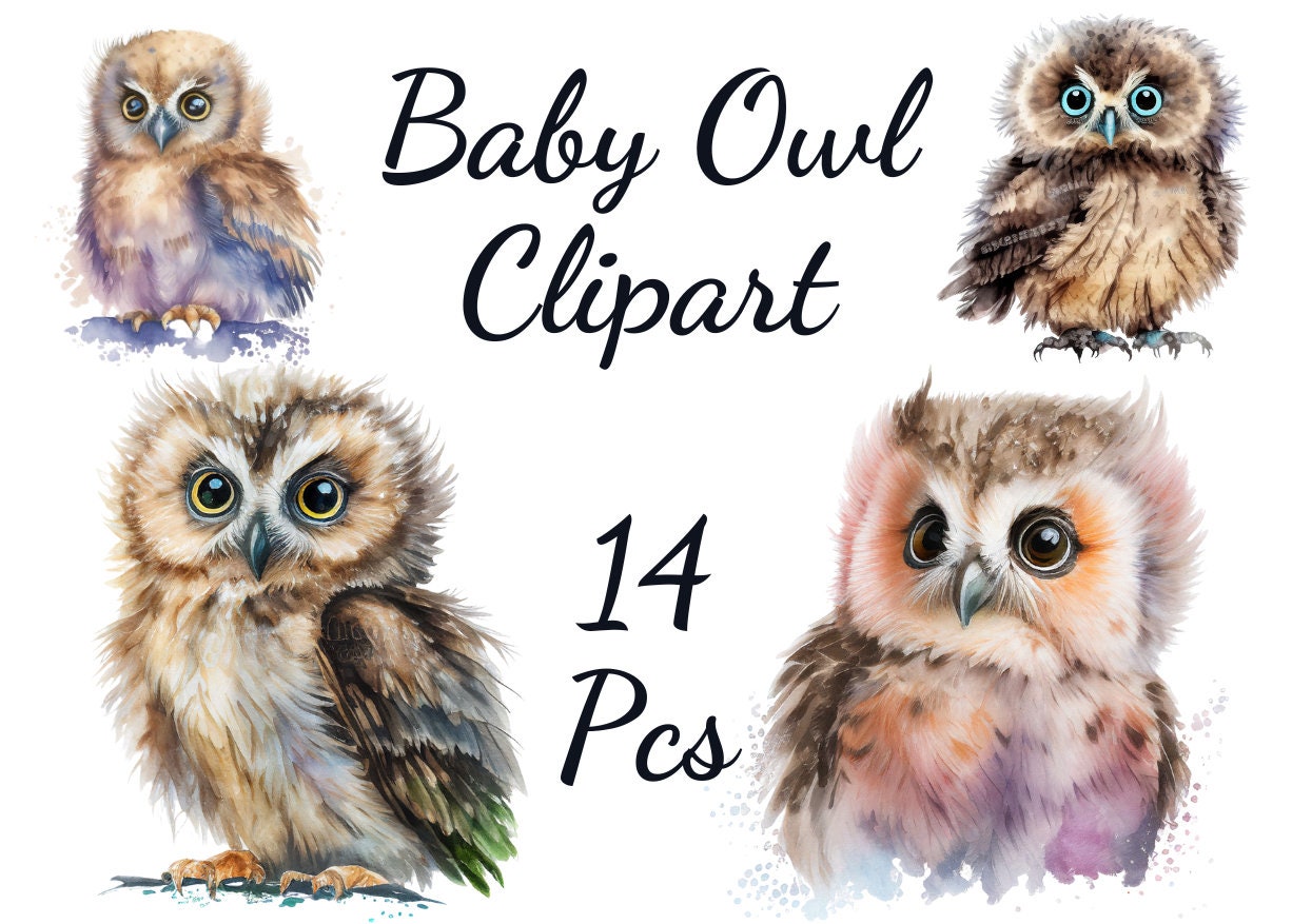 14 Baby Owl Clipart High Quality Transparent PNG Watercolor - Etsy
