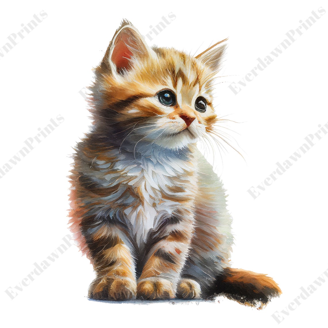 15 Kitten Clipart High Quality Transparent PNG Small Cat - Etsy