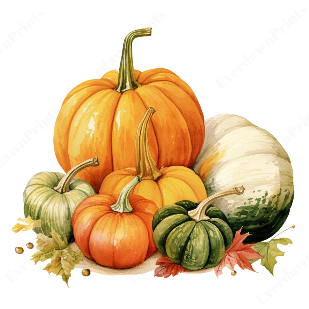 20 Watercolor Pumpkin Patch Clipart, Autumn, Pumpkin PNG, Transparent ...