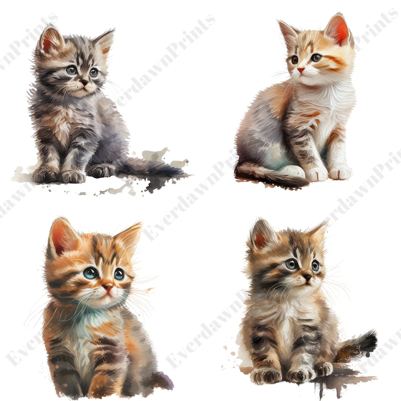 15 Kitten Clipart High Quality Transparent PNG Small Cat - Etsy