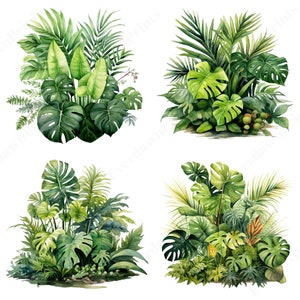 24 Watercolor Tropical Greenery Clipart – Lush Jungle Leaves, Monstera ...