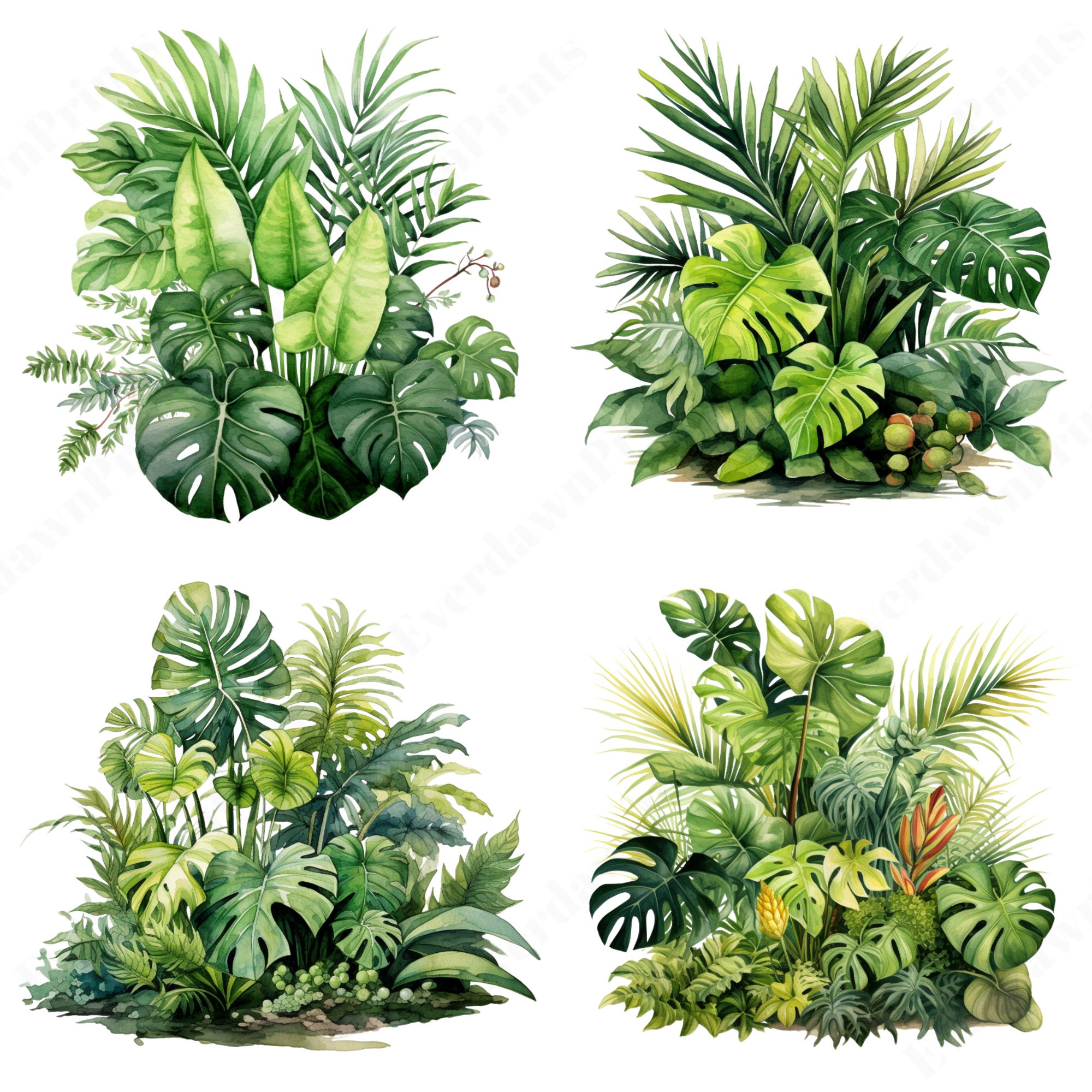 24 Watercolor Tropical Greenery Clipart, Tropical Leaves, Monstera ...