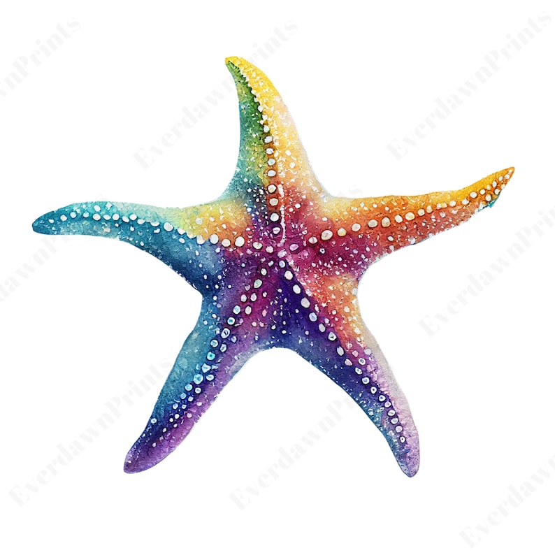 18 Watercolor Starfish Clipart, High Quality Transparent PNG ...