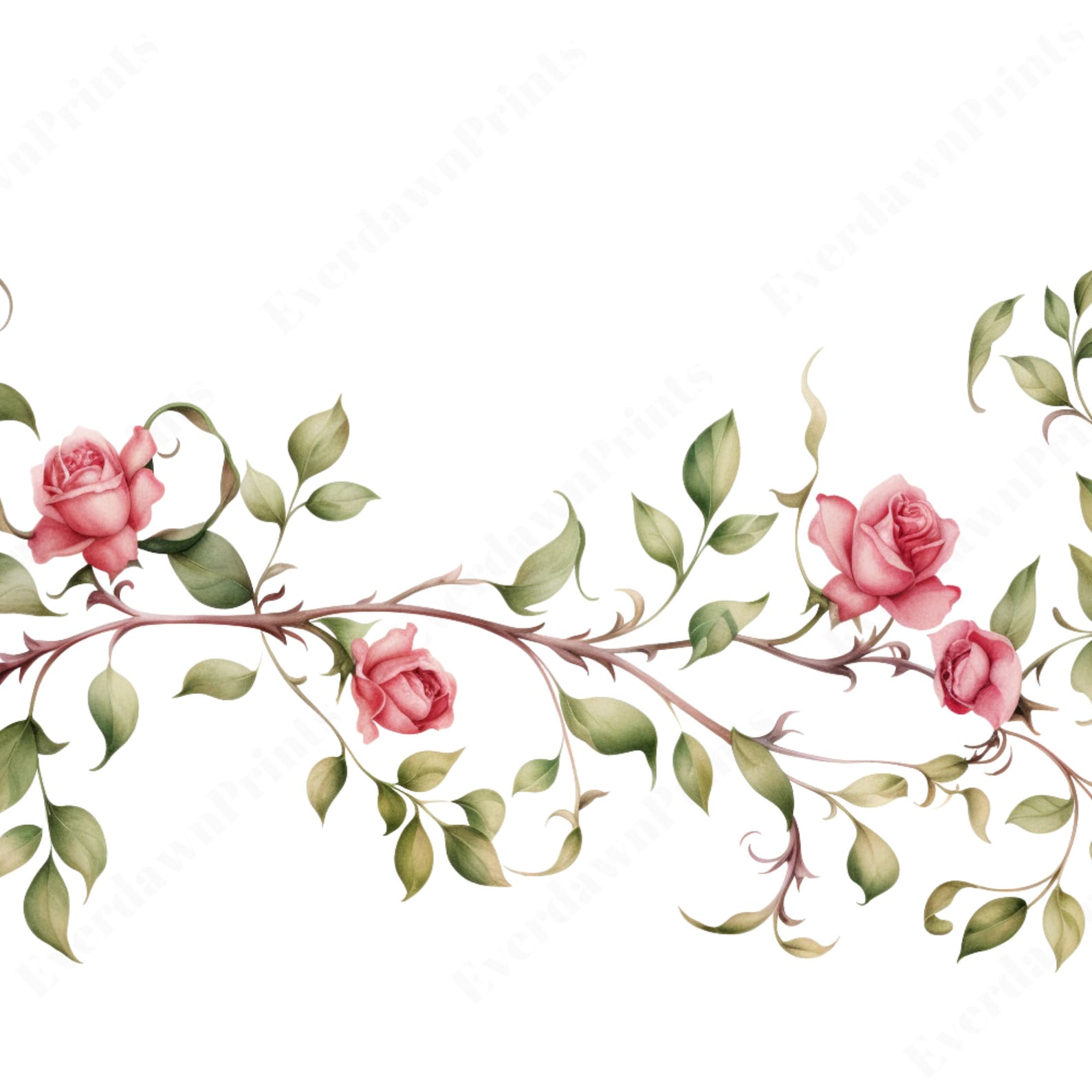 75 Watercolor Rose Vine Borders, Watercolor Floral Borders, Wild ...