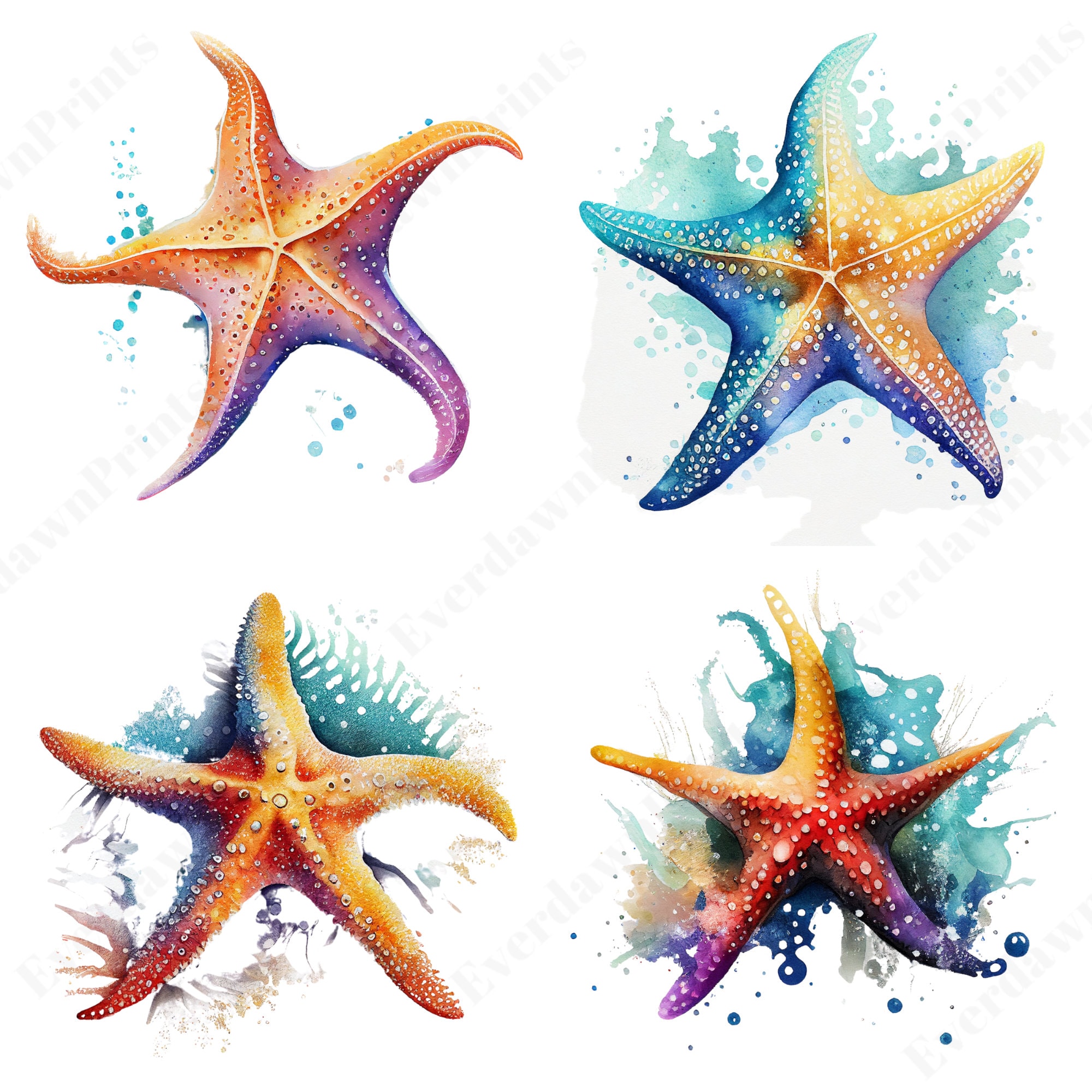 18 Watercolor Starfish Clipart, High Quality Transparent PNG ...