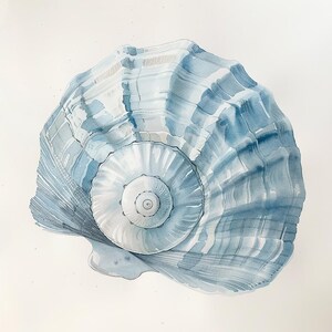 28 Large Blue Seashell Clipart, Ocean Marine Life Transparent Image ...
