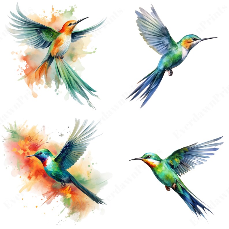 25 Watercolor Colorful Bird Clipart, High Quality Transparent Pngs ...