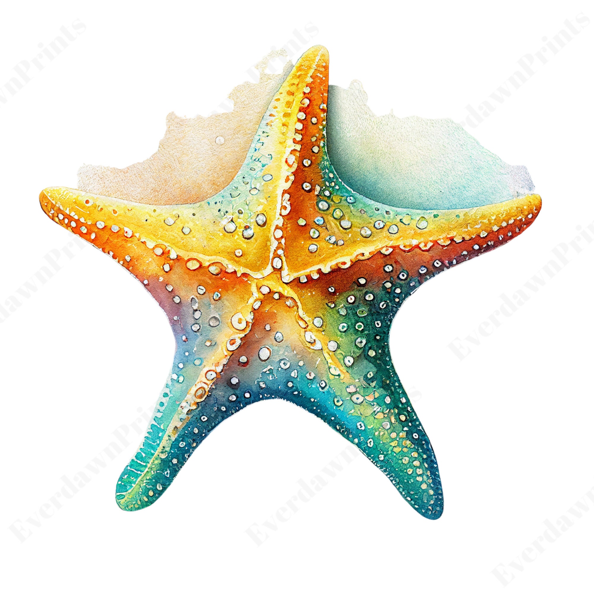 18 Watercolor Starfish Clipart, High Quality Transparent PNG ...