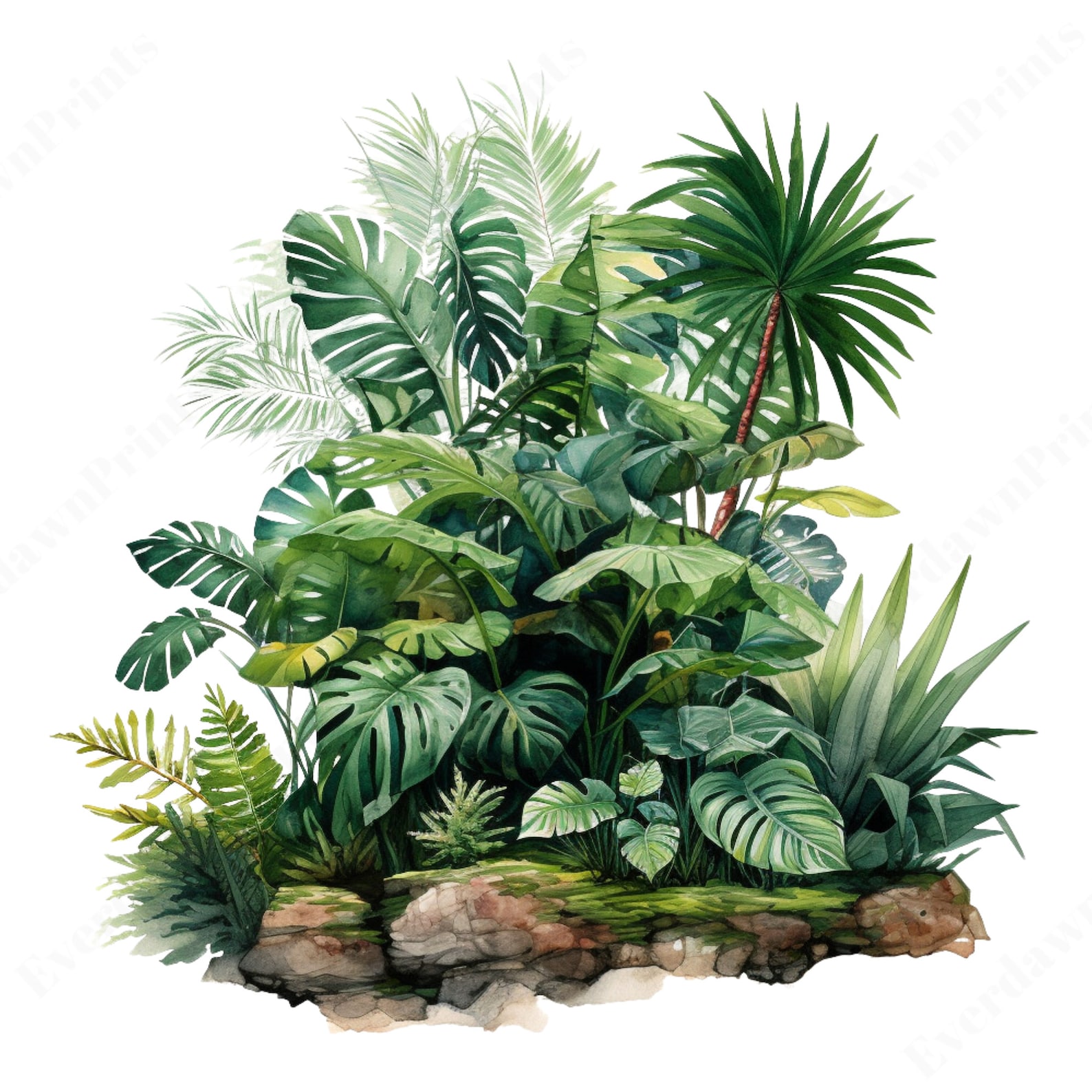 24 Watercolor Tropical Greenery Clipart – Lush Jungle Leaves, Monstera ...