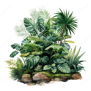 24 Watercolor Tropical Greenery Clipart – Lush Jungle Leaves, Monstera ...