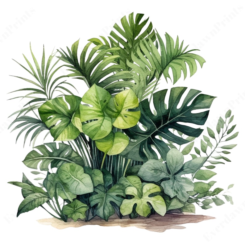 24 Watercolor Tropical Greenery Clipart – Lush Jungle Leaves, Monstera ...