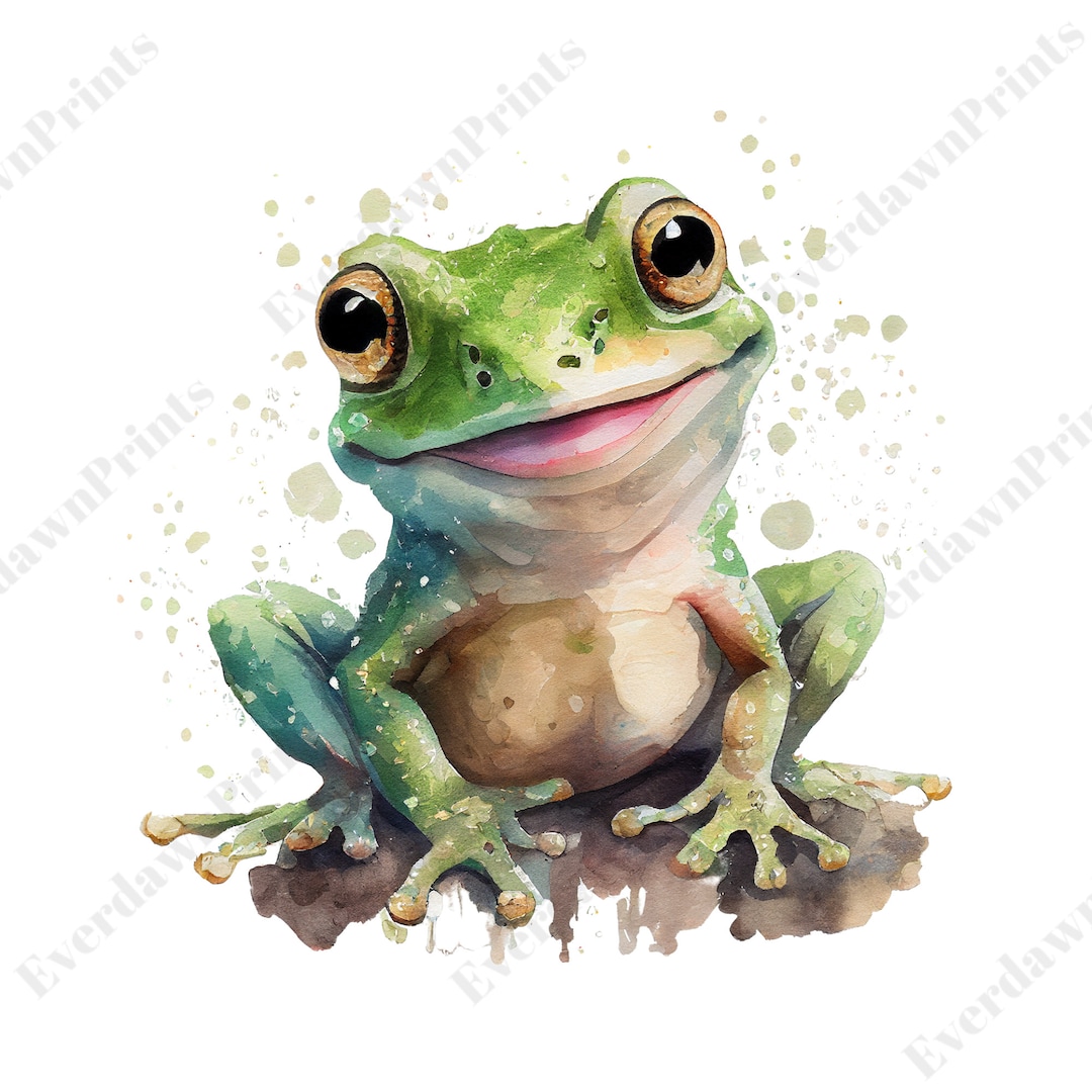 Watercolor Frog Clipart – 15 Transparent Pngs (digital Download) - Etsy