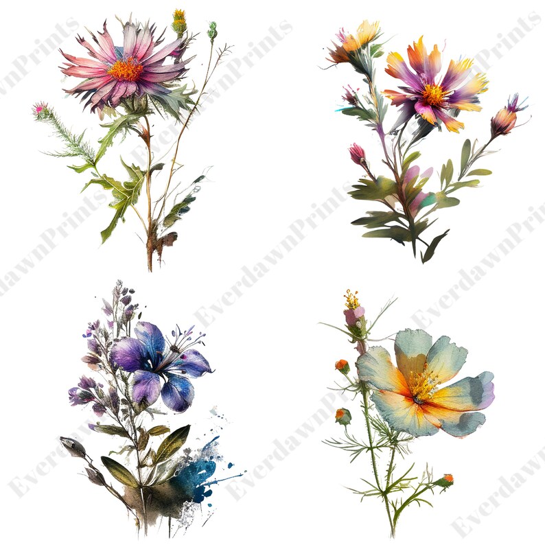 Watercolor Wildflower Clipart, Floral PNG Set, Card Making (digital ...
