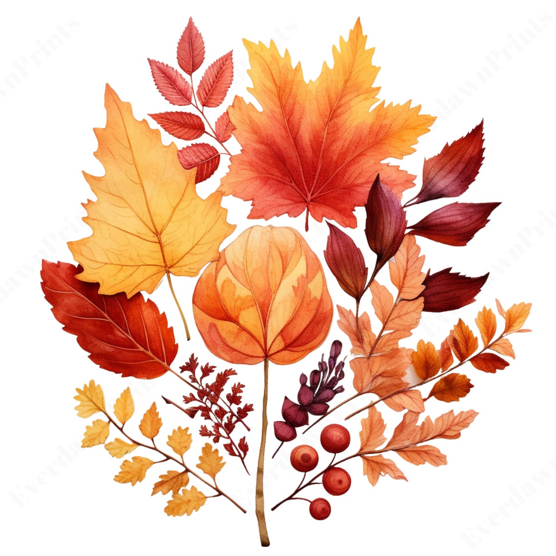 22 Watercolor Autumn Leaves Clipart Leaves PNG High Quality - Etsy
