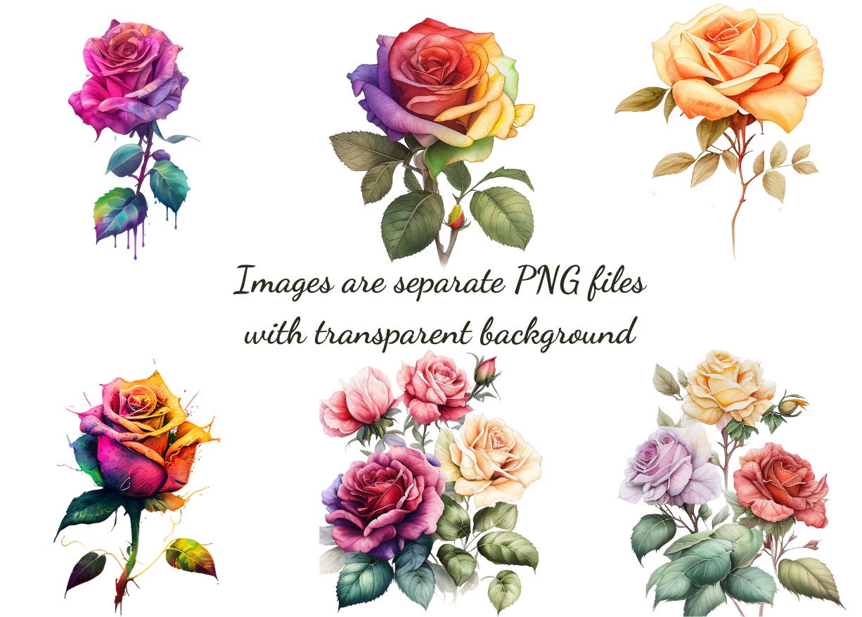 38 Colorful Rose Clipart, Watercolor, High Quality Transparent PNG ...