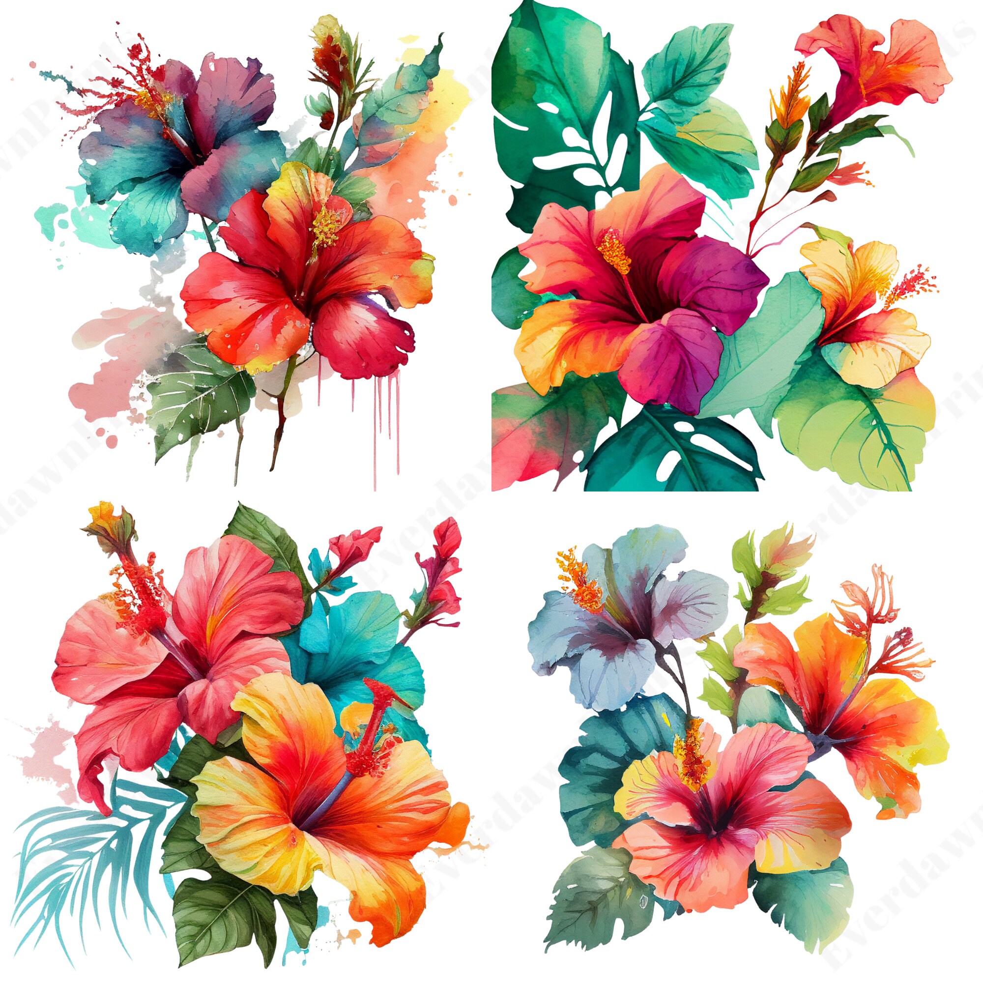 16 Watercolor Hibiscus Flowers Clipart, High Quality Transparent PNG ...