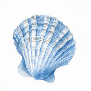 28 Large Blue Seashell Clipart, Ocean Marine Life Transparent Image ...