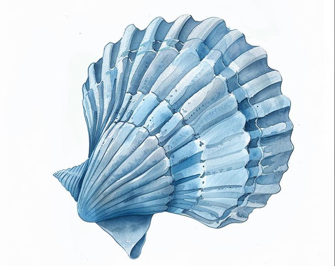 28 Large Blue Seashell Clipart, Ocean Marine Life Transparent Image ...