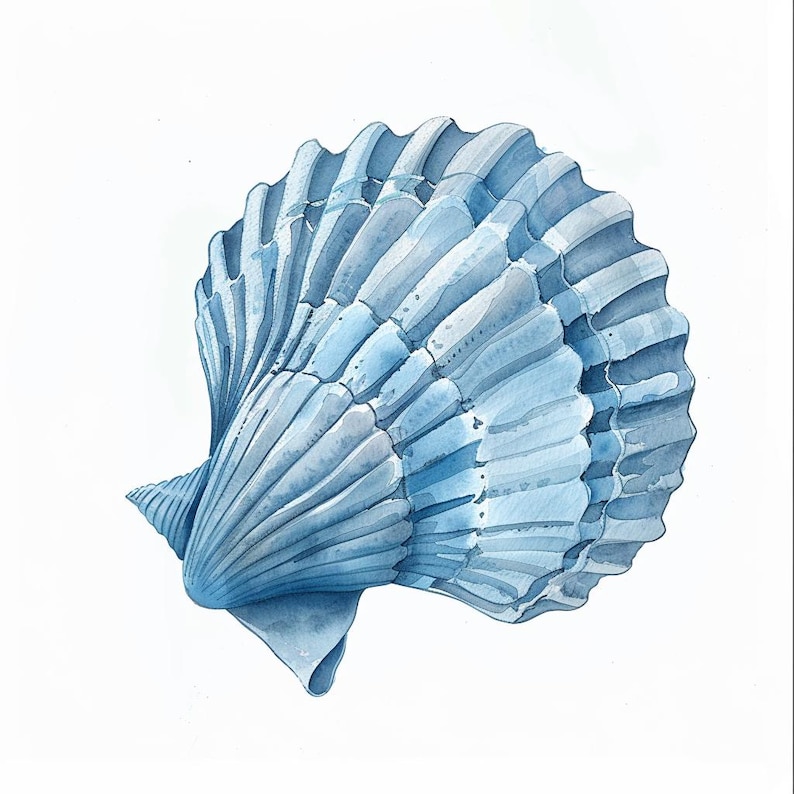 28 Large Blue Seashell Clipart, Ocean Marine Life Transparent Image ...