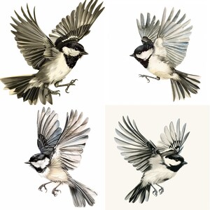 24 Chickadee Clipart, Flying Bird Image, Detailed Bird Illustration ...