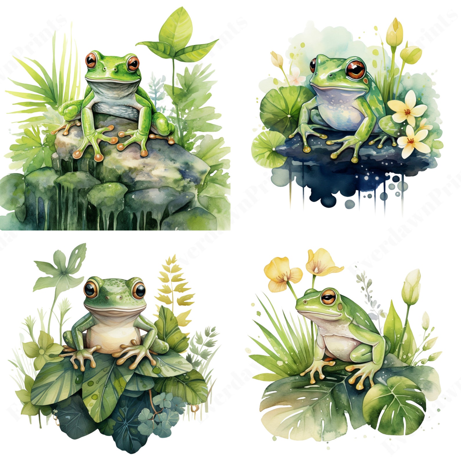 20 Rainforest Frog Clipart, High Quality Transparent PNG, Watercolor ...