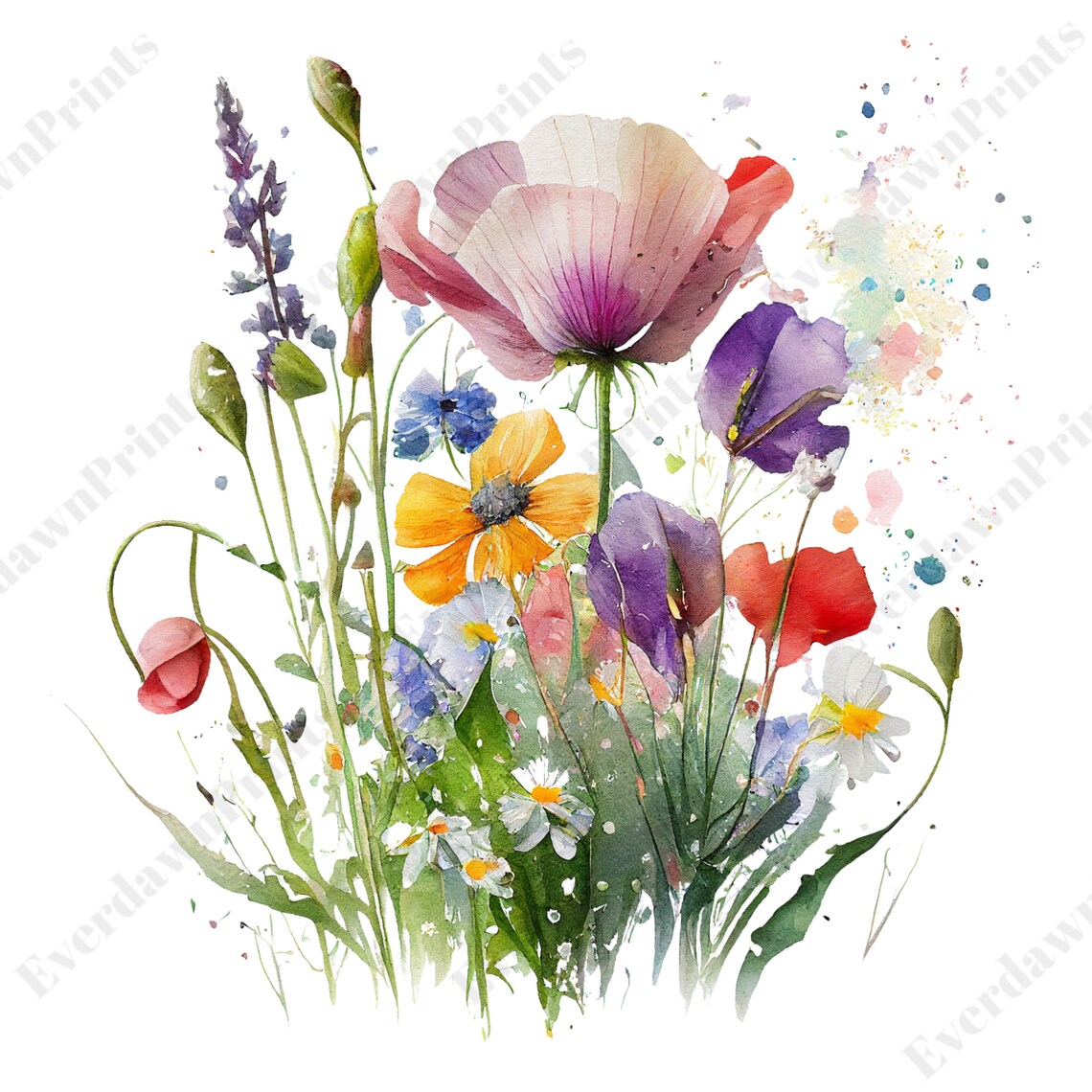 18 Watercolor Meadow Flowers Clipart High Quality PNG Card - Etsy
