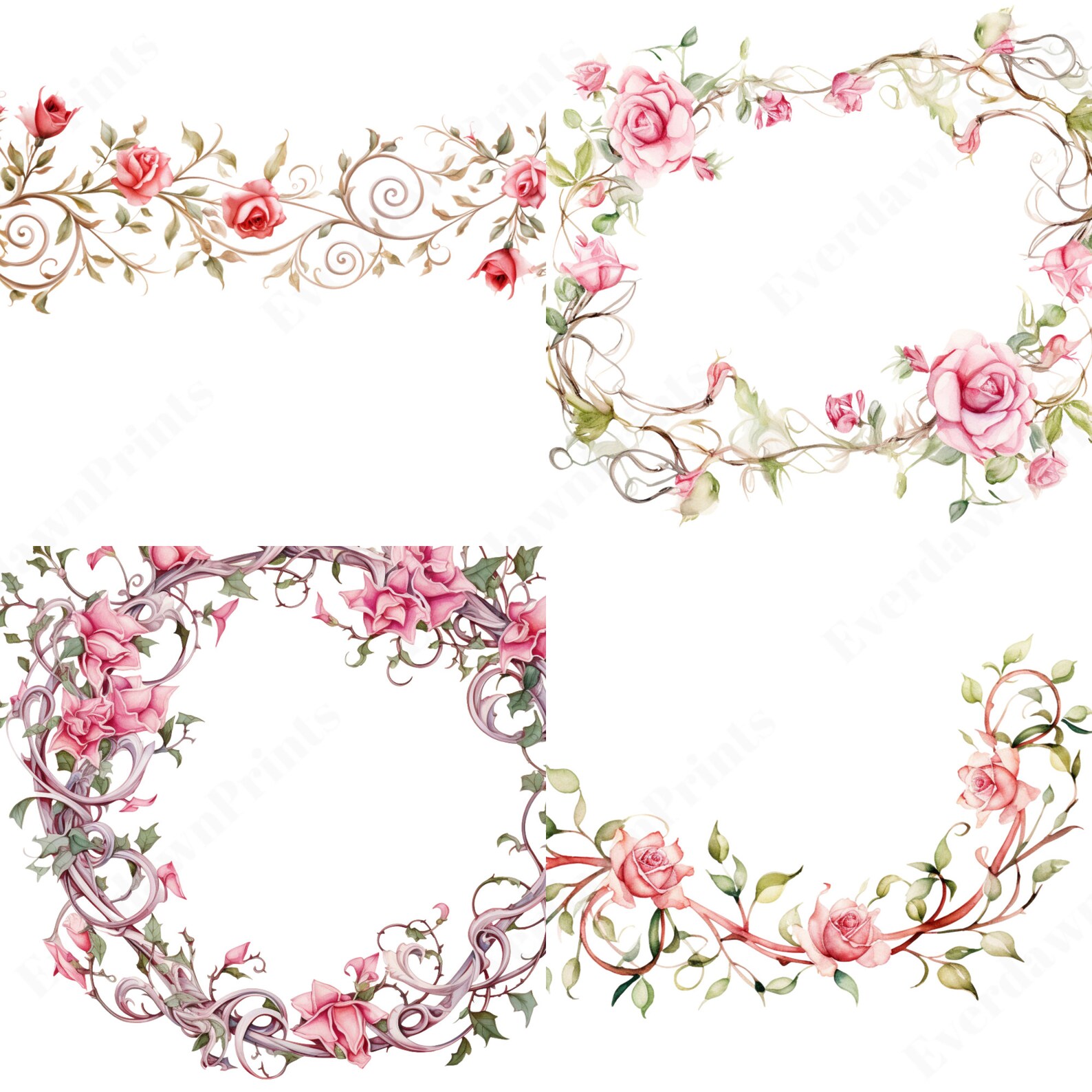 75 Watercolor Rose Vine Borders, Watercolor Floral Borders, Wild ...