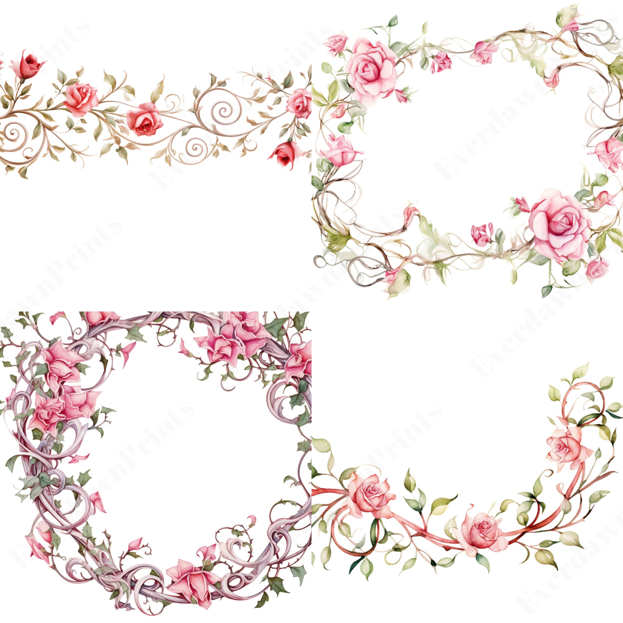 75 Watercolor Rose Vine Borders, Watercolor Floral Borders, Wild ...