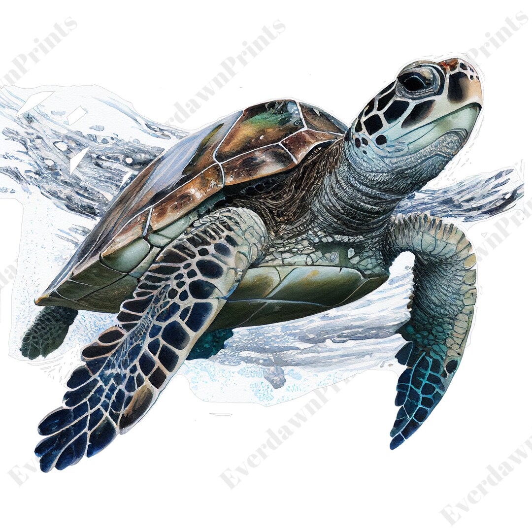 15 Sea Turtle, High Quality Transparent PNG, Sea Animals PNG, Ocean ...